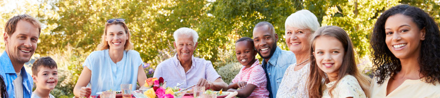 THO Software Client Information System